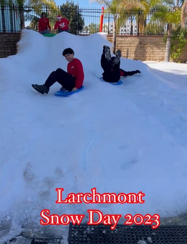 Larchmont’s Snow Day! • Loveland Carr Group | 323-460-7606
